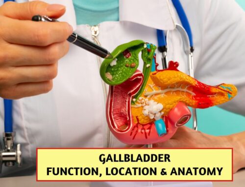Can You Live Without a Gallbladder? | Dr. Abhijit Gotkhinde